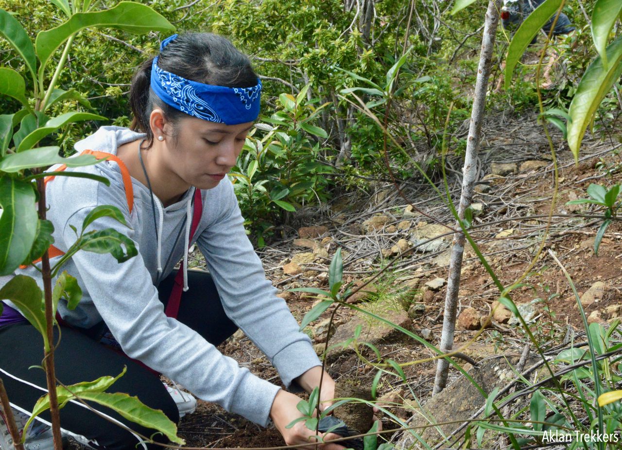 1st Aklan Hammock Festival: The First-ever Outdoor Gathering of Hammock ...