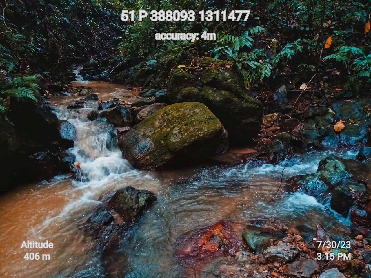 Defending Northwest Panay Peninsula Natural Park: An Urgent Call to ...